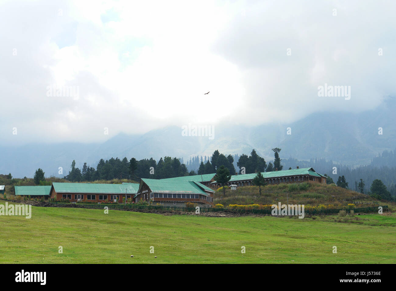Kashmir Gulmarg, Summer season, Kashmir Valley, India (Copyright © Saji ...