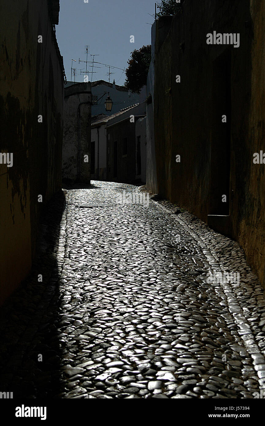 against the light Stock Photo - Alamy