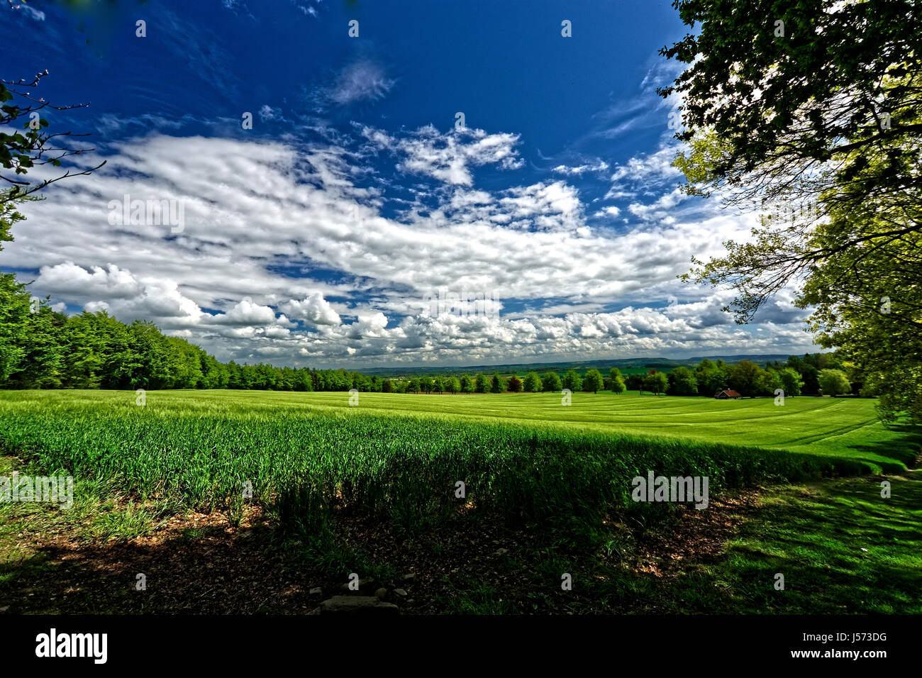The Shobdon estate in Herefordshire contains a fascinating white church ...