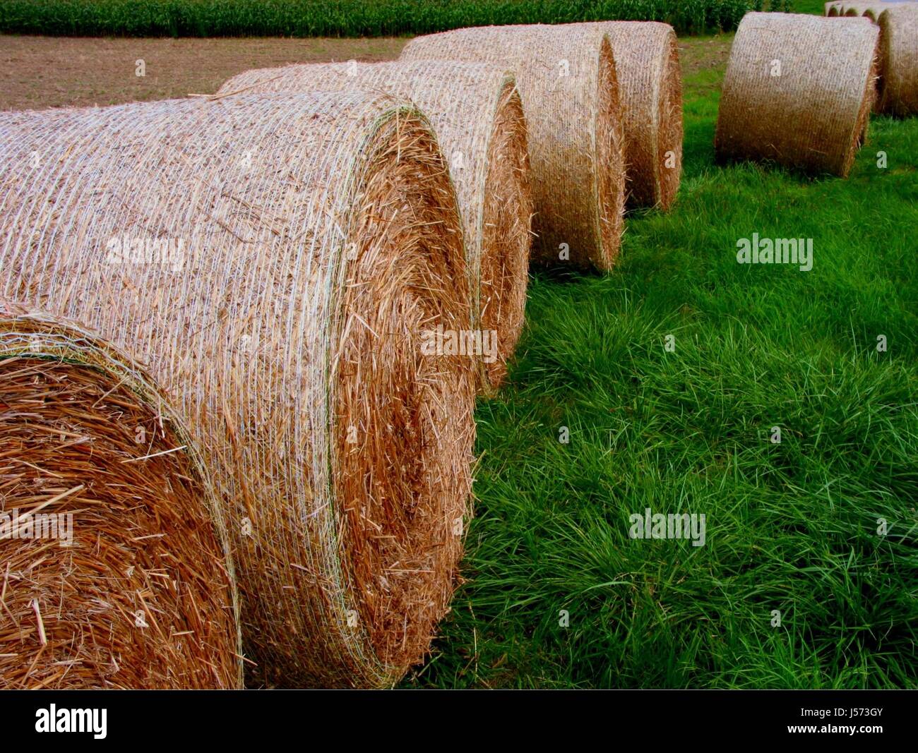 Hay rollers hi-res stock photography and images - Alamy