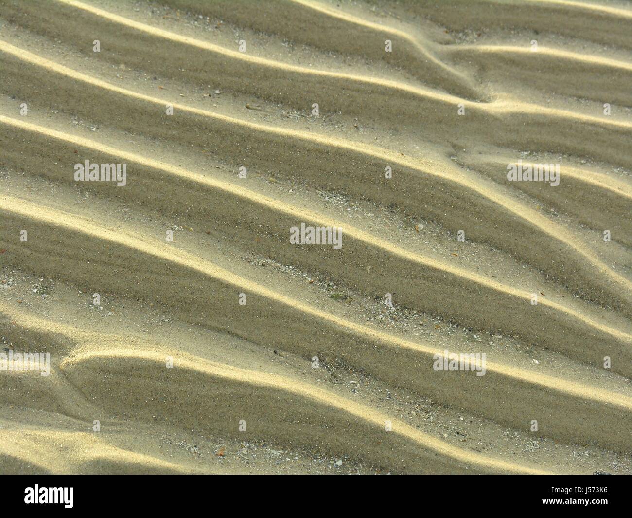 ground soil earth humus beach seaside the beach seashore wave high tide ...