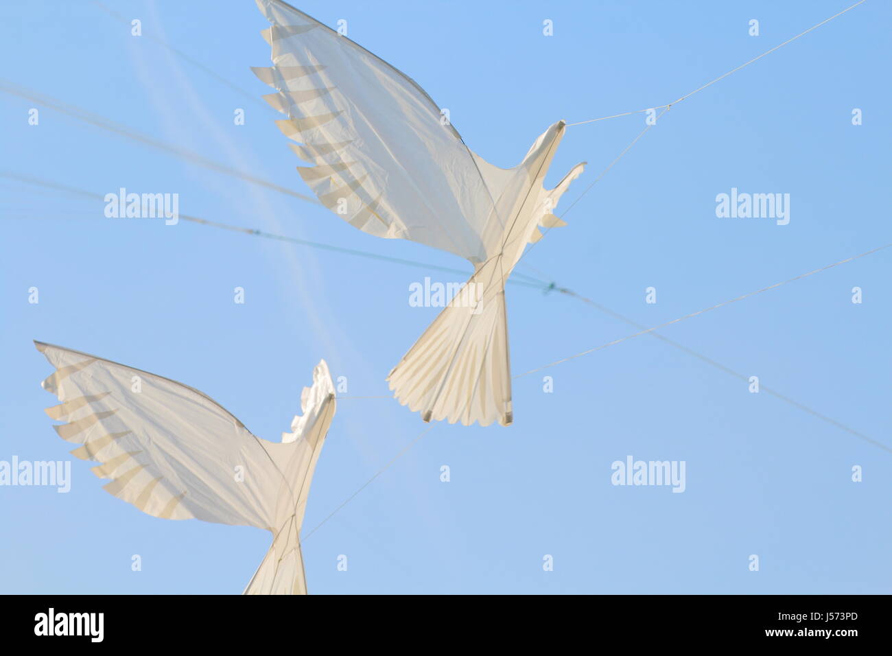 Dove-shaped kites with the blue sky background Stock Photo - Alamy