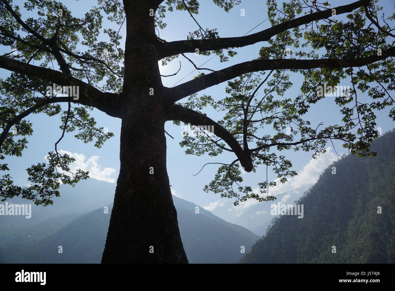 Syapru besi hi-res stock photography and images - Alamy