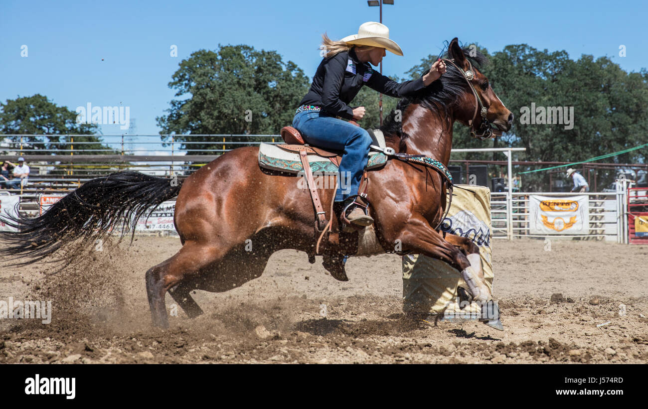 Bull riding cowboys at the rodeo in Cottonwood, California Stock Photo ...