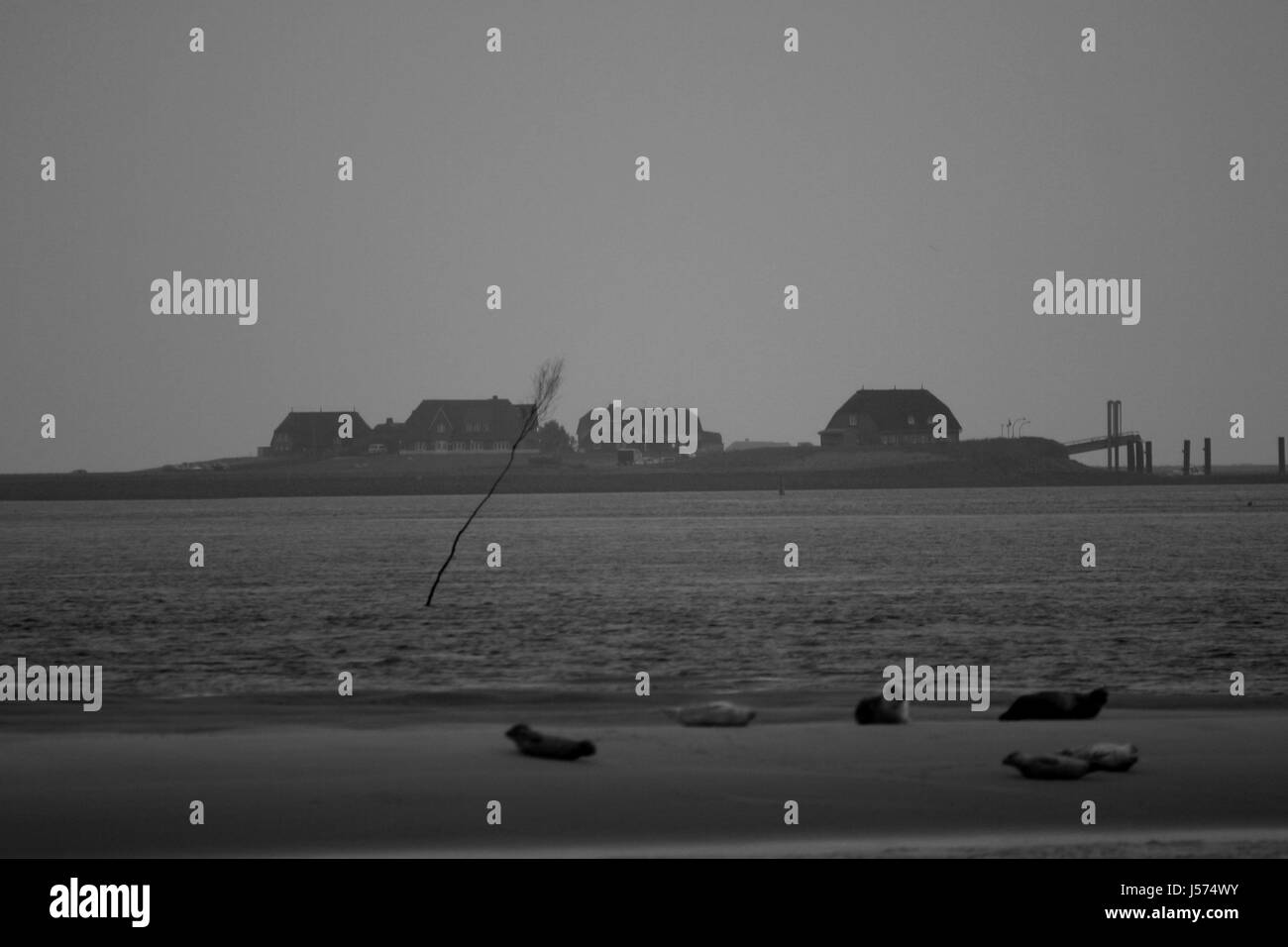 Slackers Black and White Stock Photos & Images - Alamy