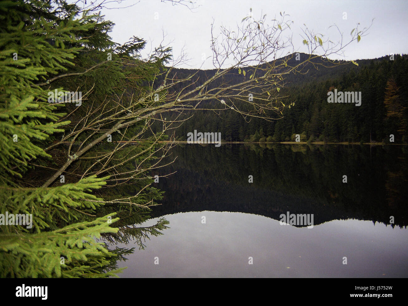 peace in nature Stock Photo - Alamy