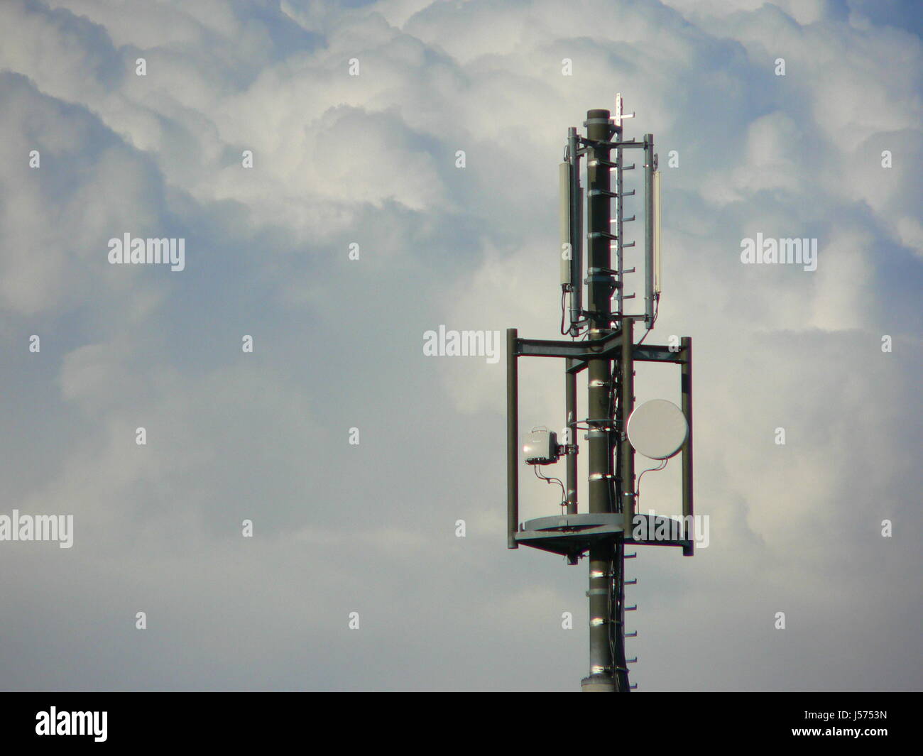 Brauer hi-res stock photography and images - Alamy