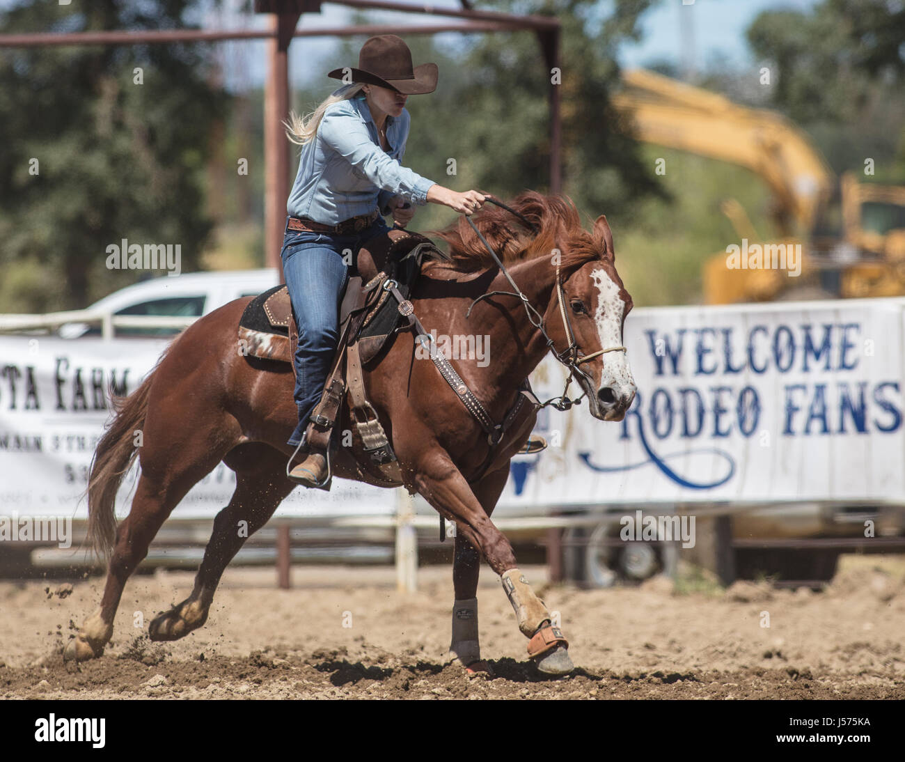 Bull riding cowboys at the rodeo in Cottonwood, California Stock Photo ...