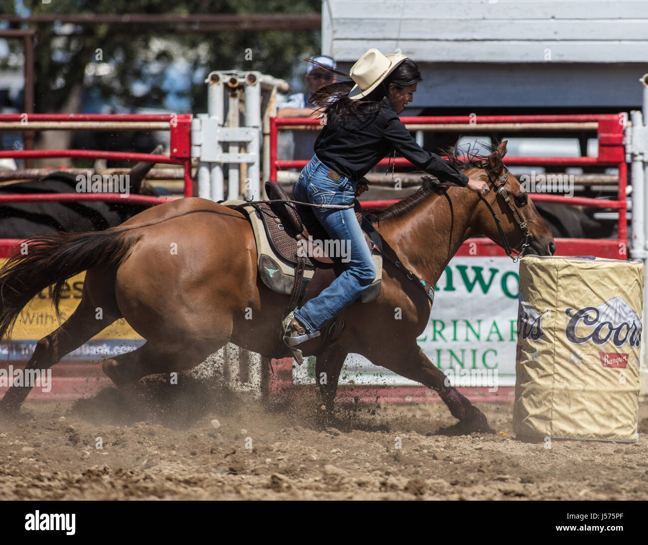 Bull riding cowboys at the rodeo in Cottonwood, California Stock Photo ...