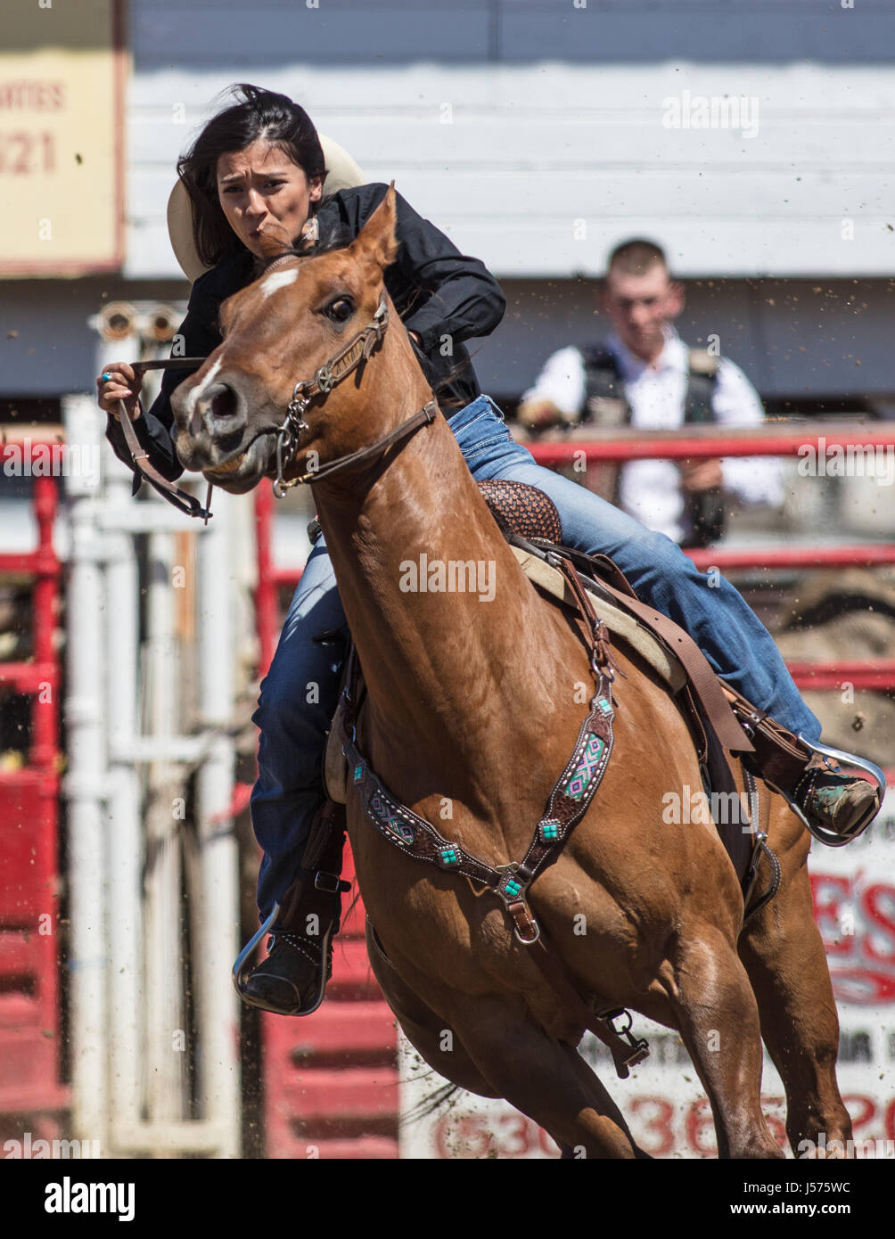 Bull riding cowboys at the rodeo in Cottonwood, California Stock Photo ...