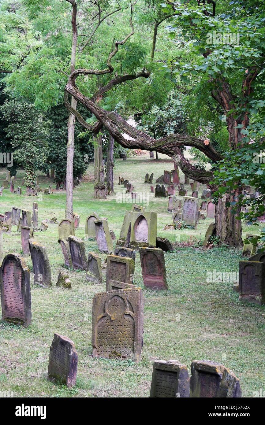 Holy soil hi-res stock photography and images - Alamy