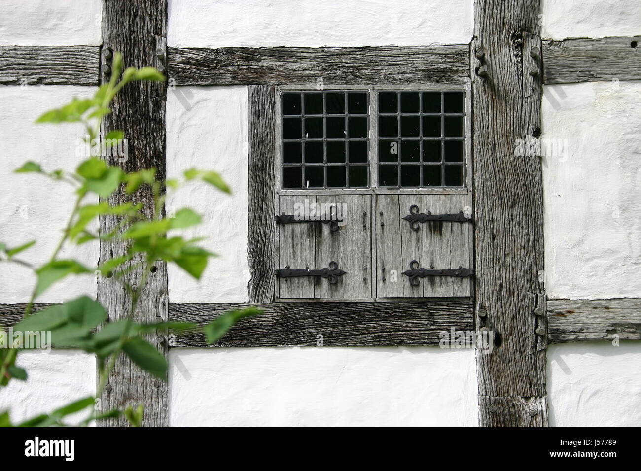 green window porthole dormer window pane frame-work shutters shutter ...