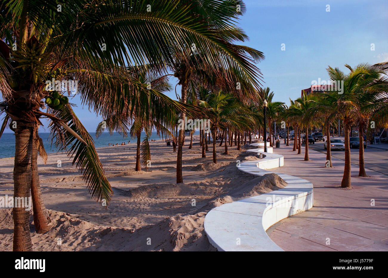 Palm iii hi-res stock photography and images - Alamy