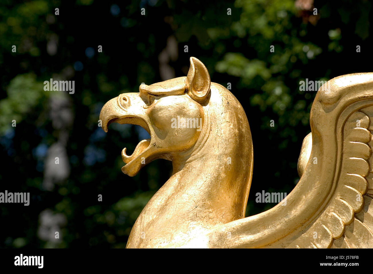 golden dragon 01 Stock Photo - Alamy