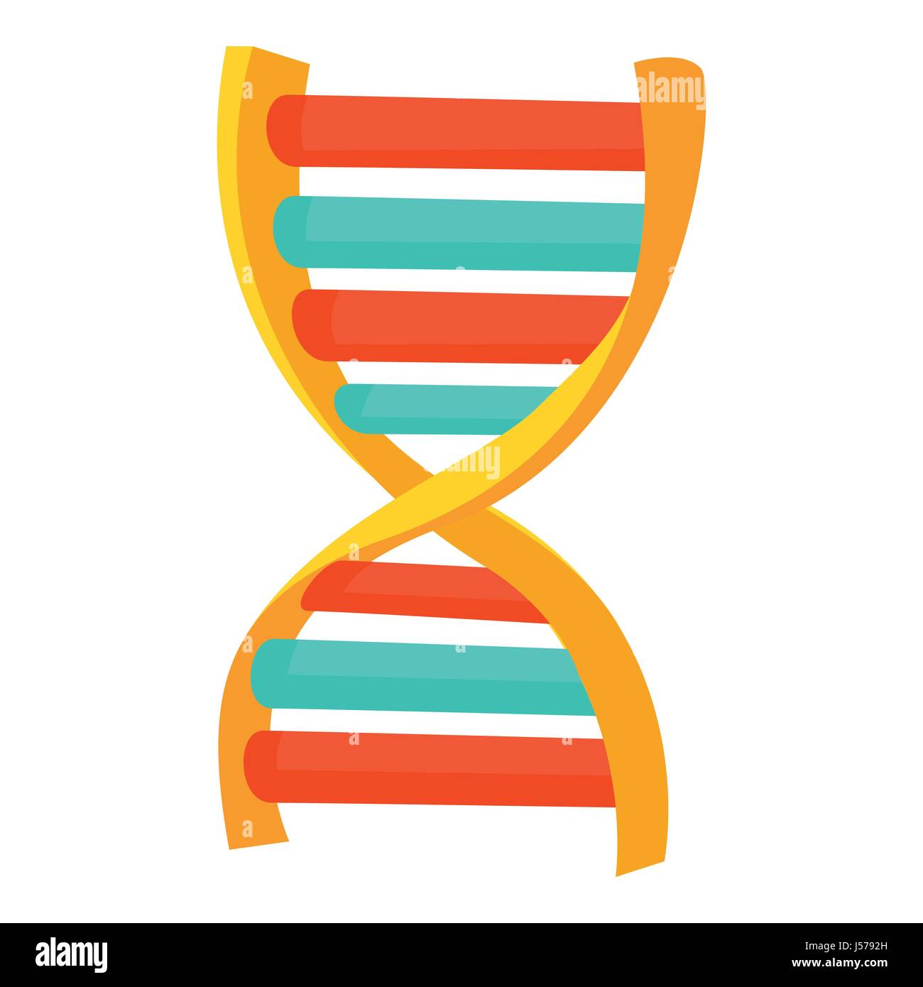 DNA strand icon, cartoon style Stock Vector Image & Art - Alamy
