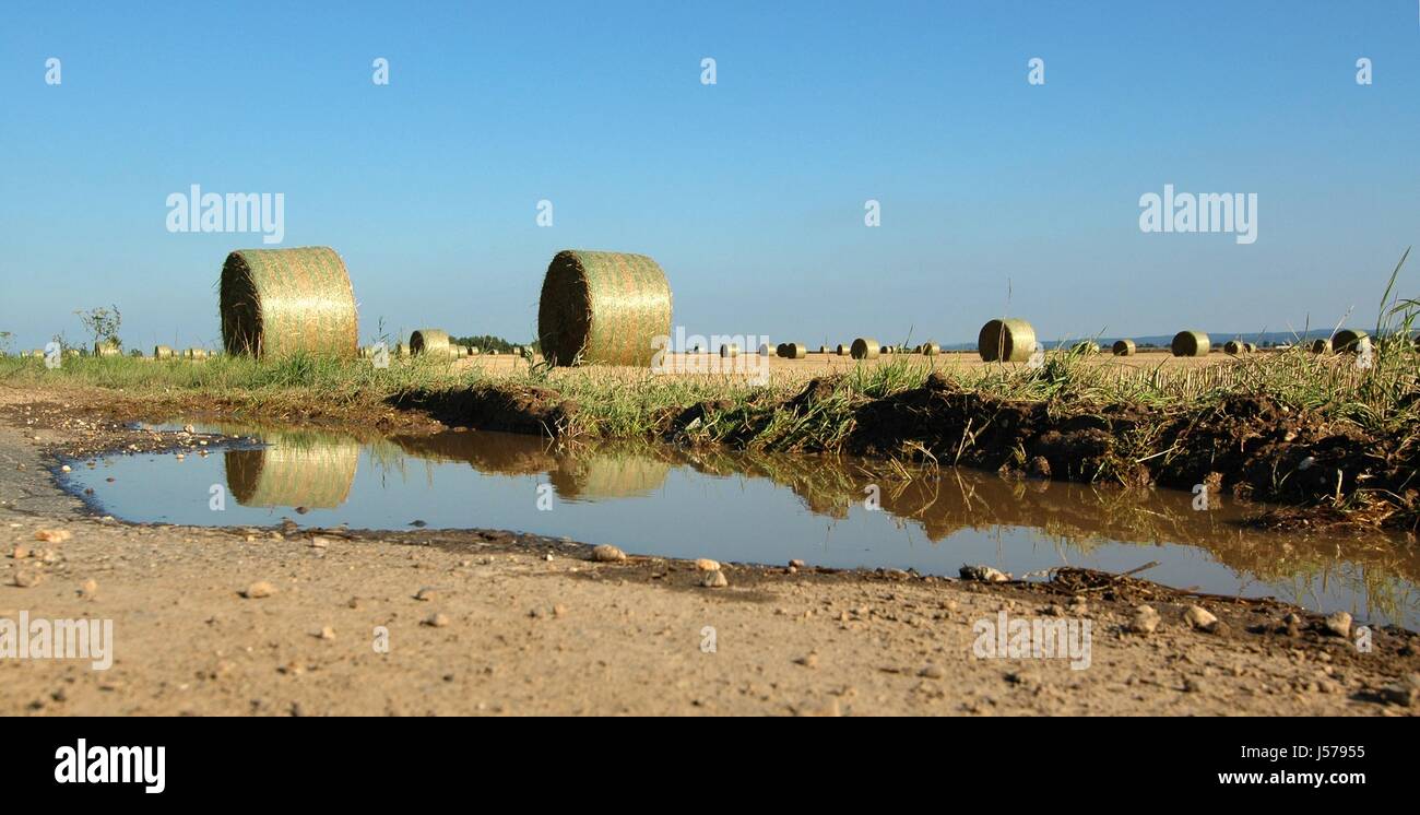 agriculture farming field mirroring straw ball straw puddle harvested ...