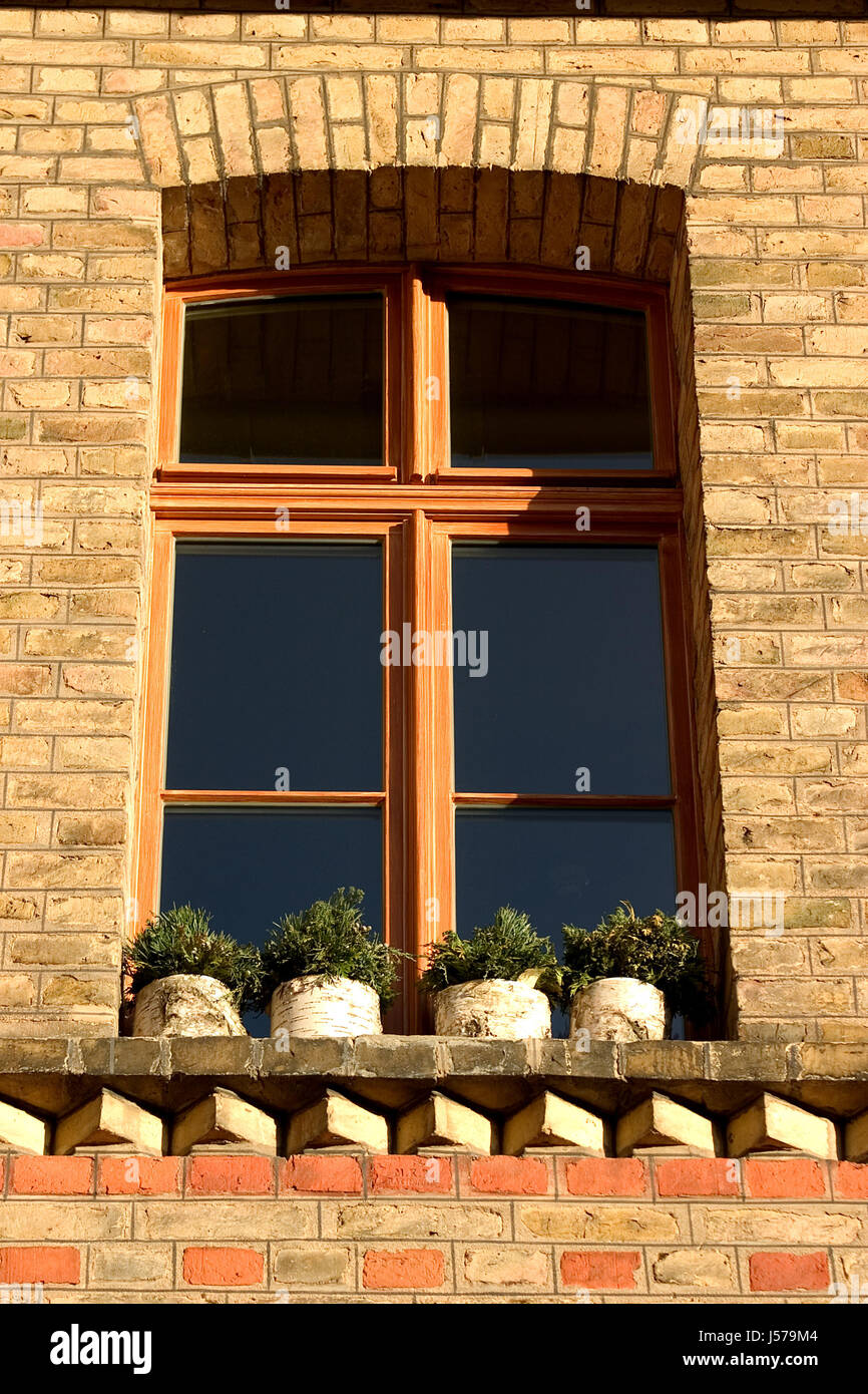 window porthole dormer window pane flower flowers plant wall ...