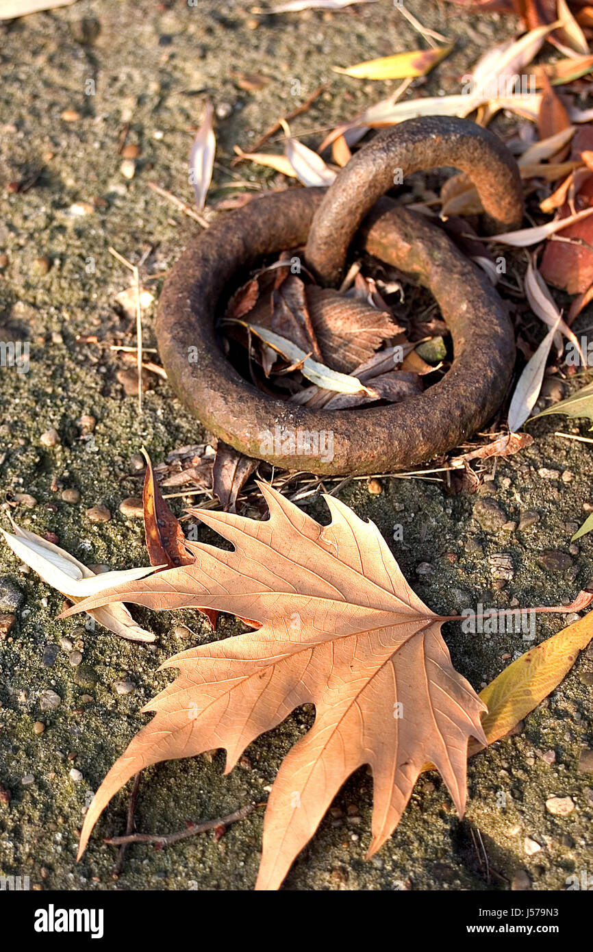ring stone iron concrete steel rusty rust autumn foliage leaves foliage ...