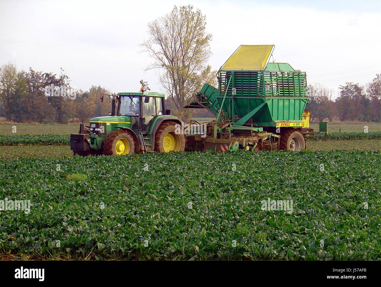 engineering field vehicle sugar fields turnip tractor farmer reap ...