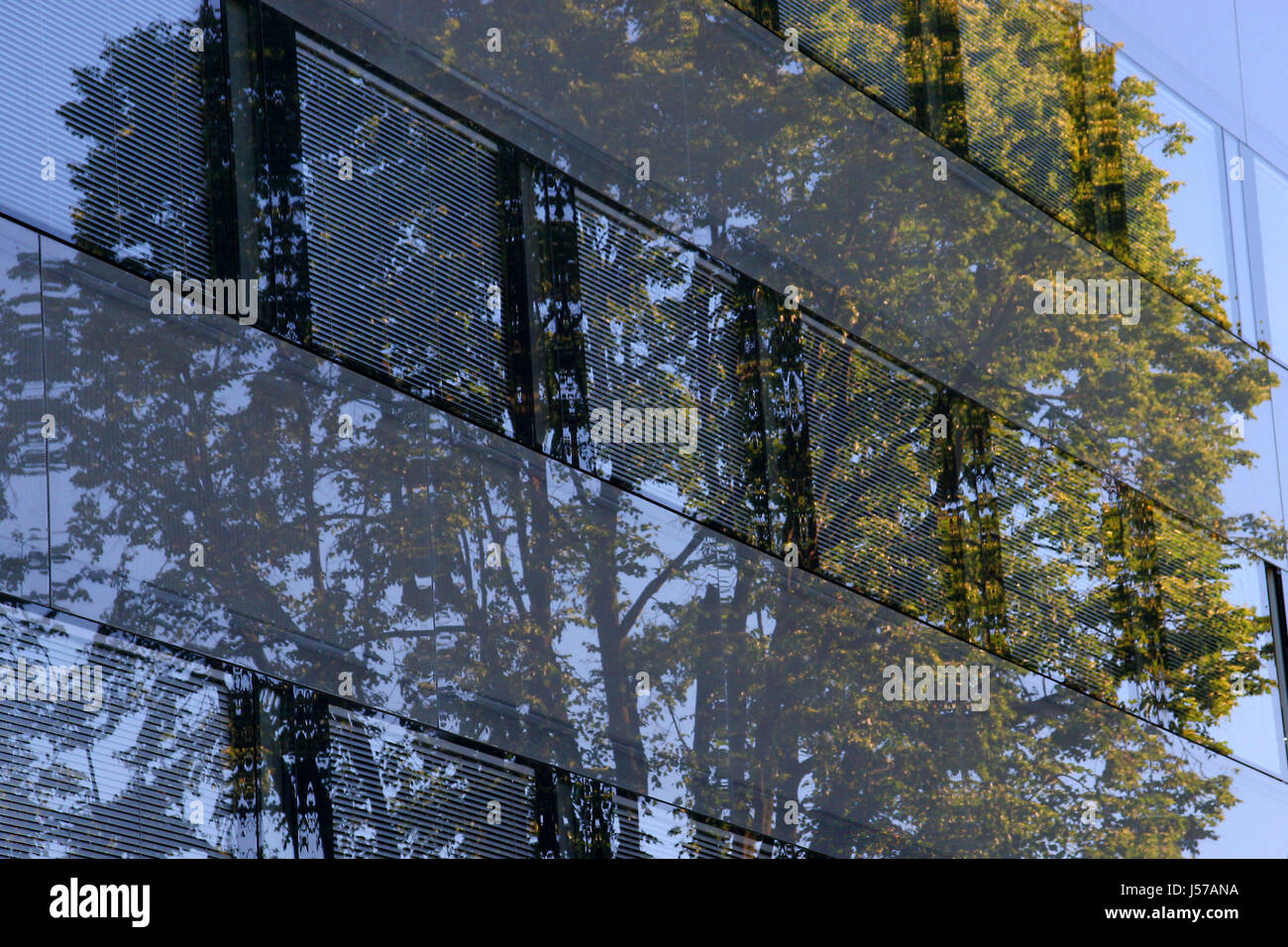 house building tree office building office block block of offices ...