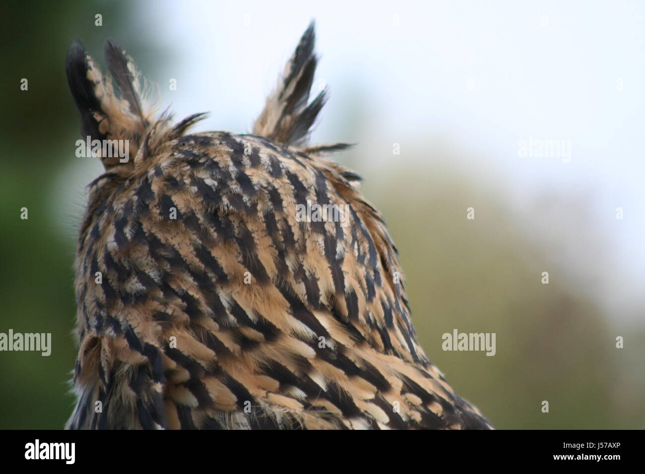 even from behind quite pretty Stock Photo - Alamy