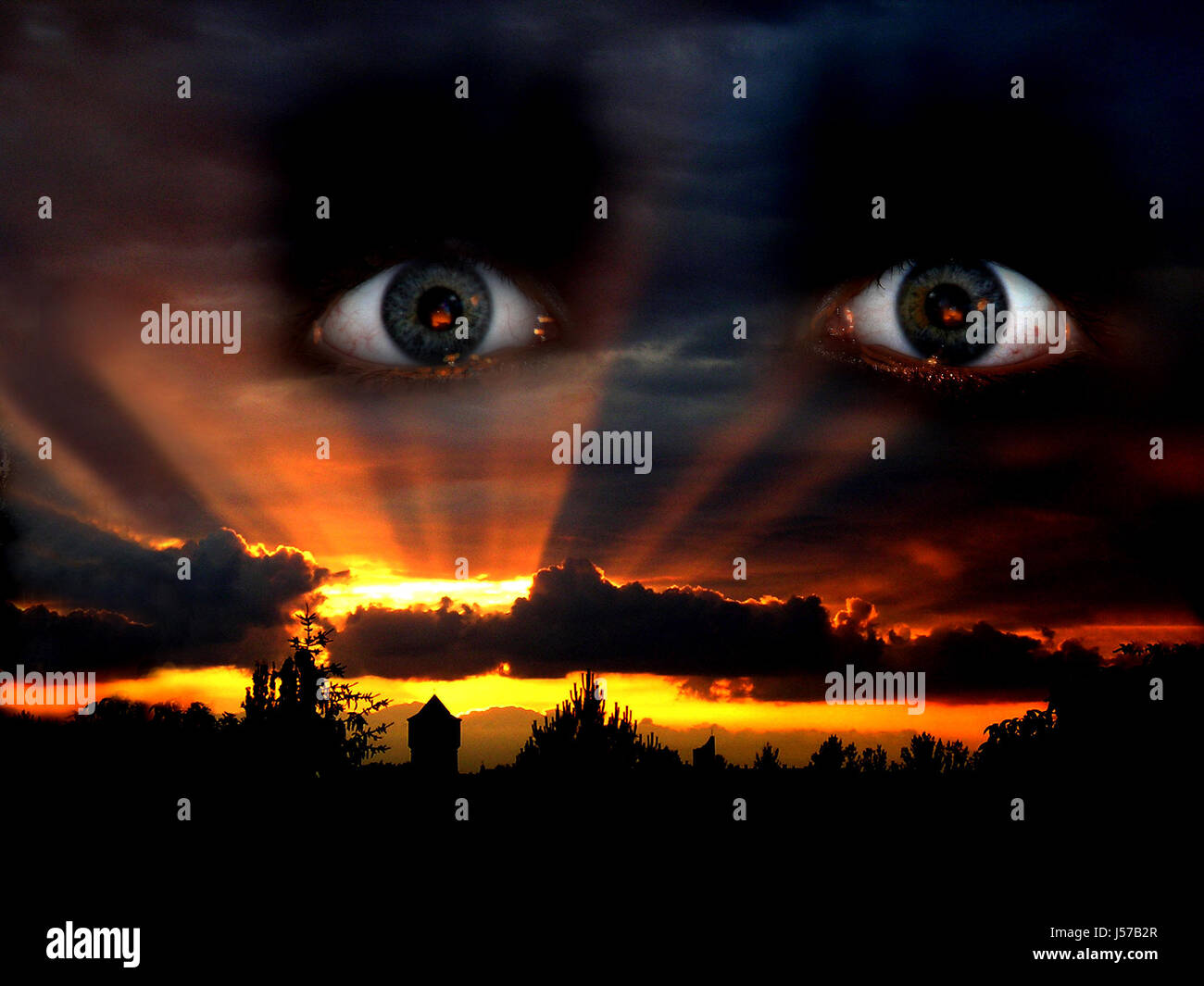 shine shines bright lucent light serene luminous sunset eye organ ...