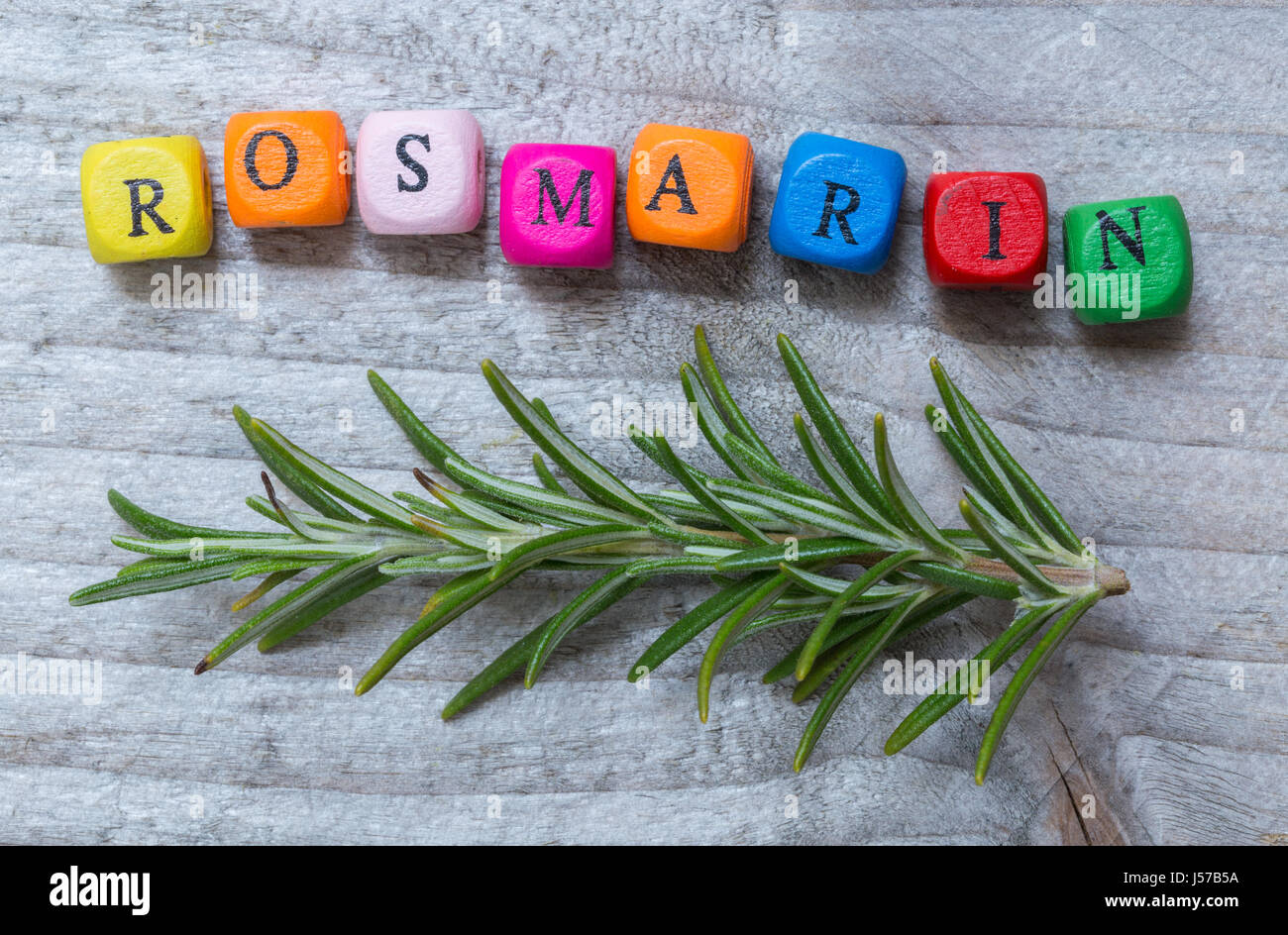 Rosmarin (in german Rosemary) with letter cube concept against gray ...