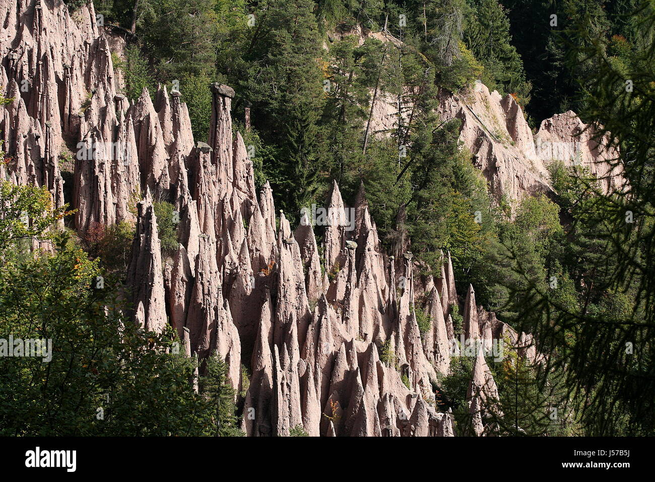 tree trees stone south tyrol lust addiction tendency pyramid steep ...