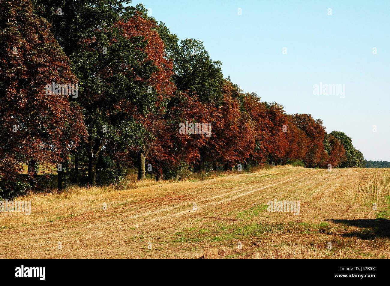 the autumn is here Stock Photo - Alamy