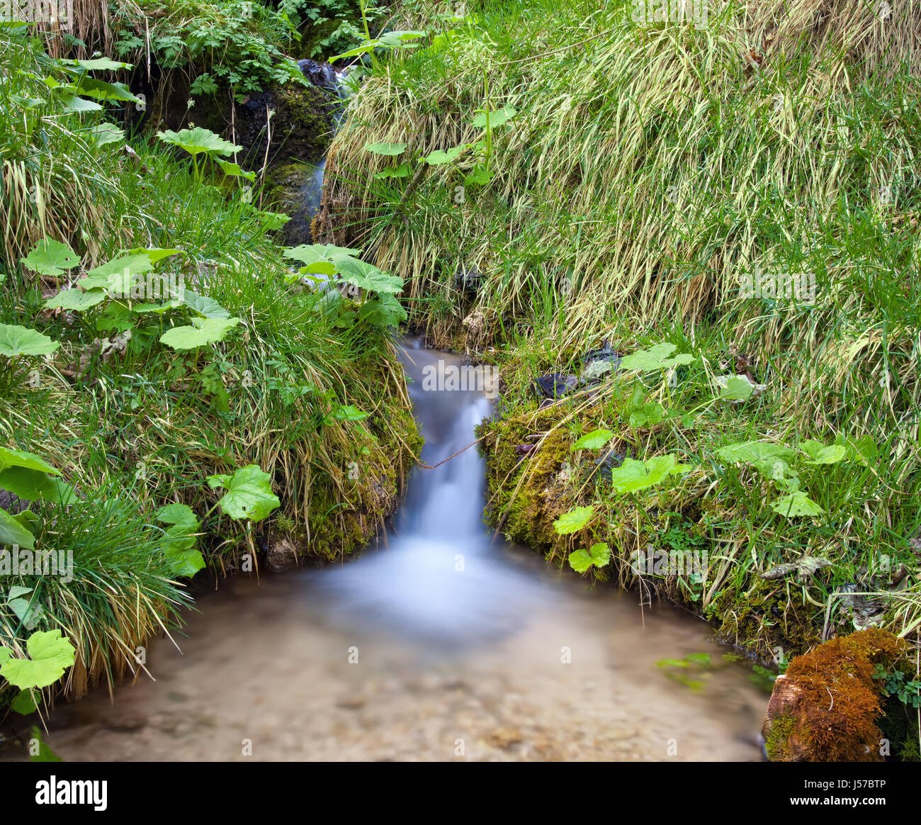 Very small creek hi-res stock photography and images - Alamy