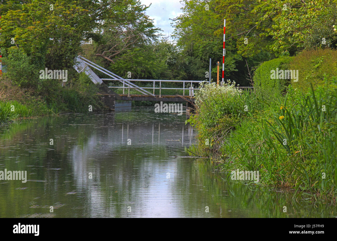 Bridge over basingstoke canal hi-res stock photography and images - Alamy