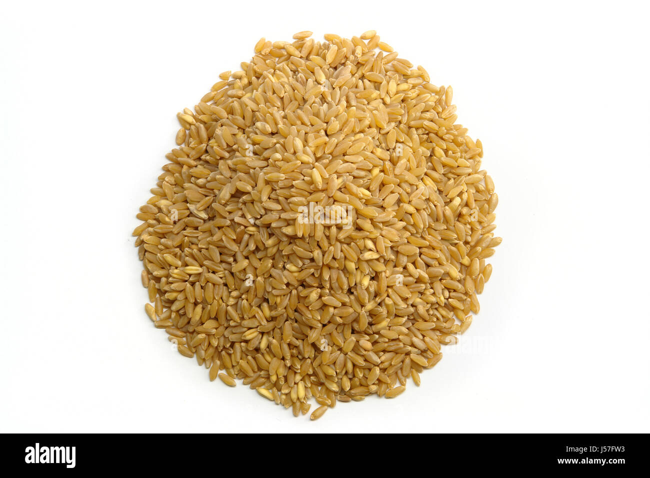 Wheat grain macro isolated hi-res stock photography and images - Alamy