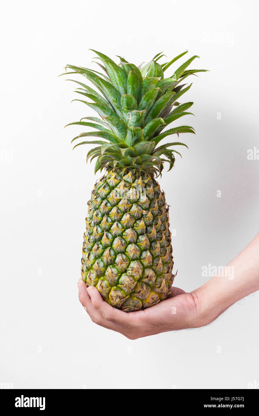 Male hand holding a pineapple isolated on white Stock Photo - Alamy