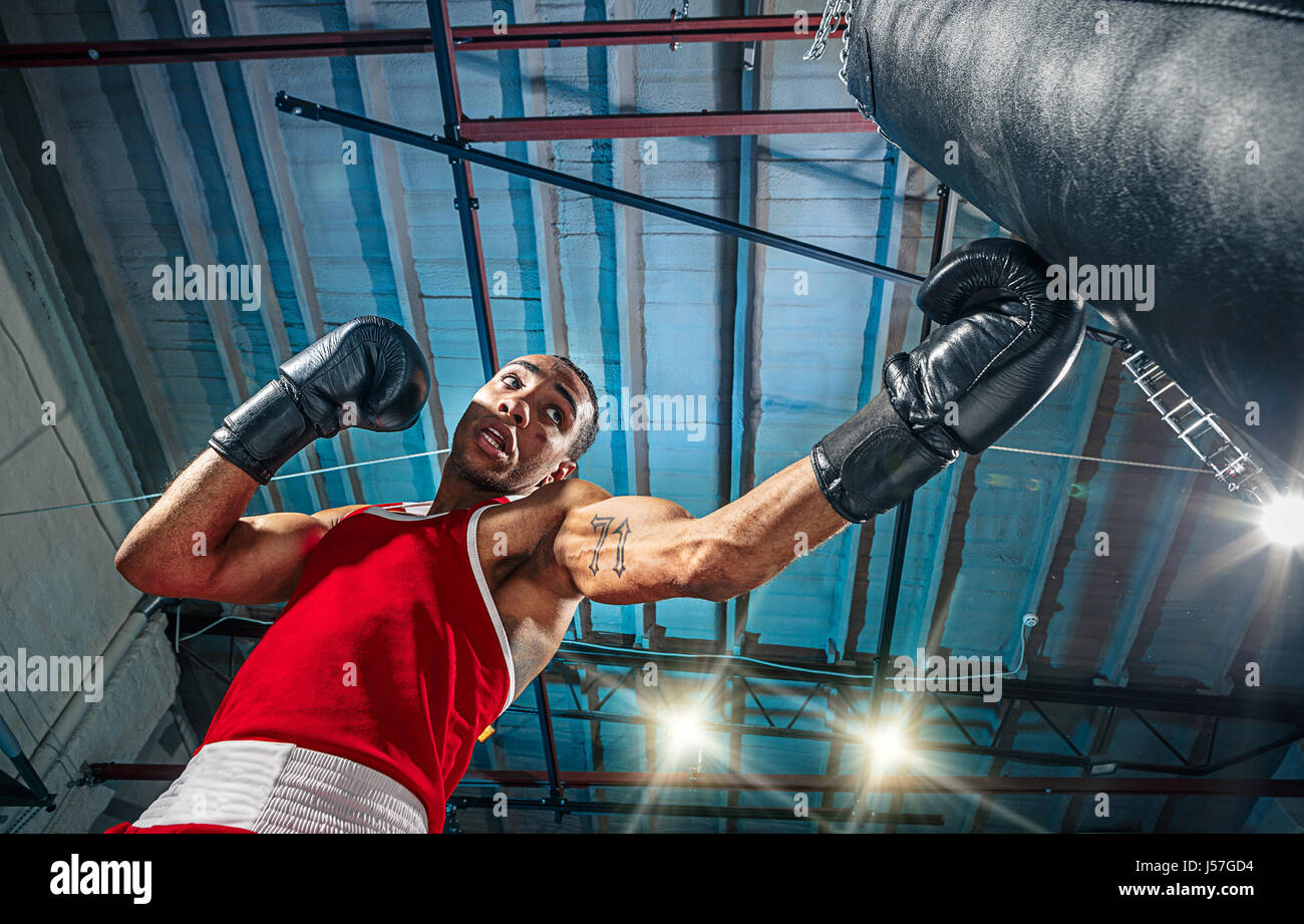 Afro american male boxer Stock Photo - Alamy