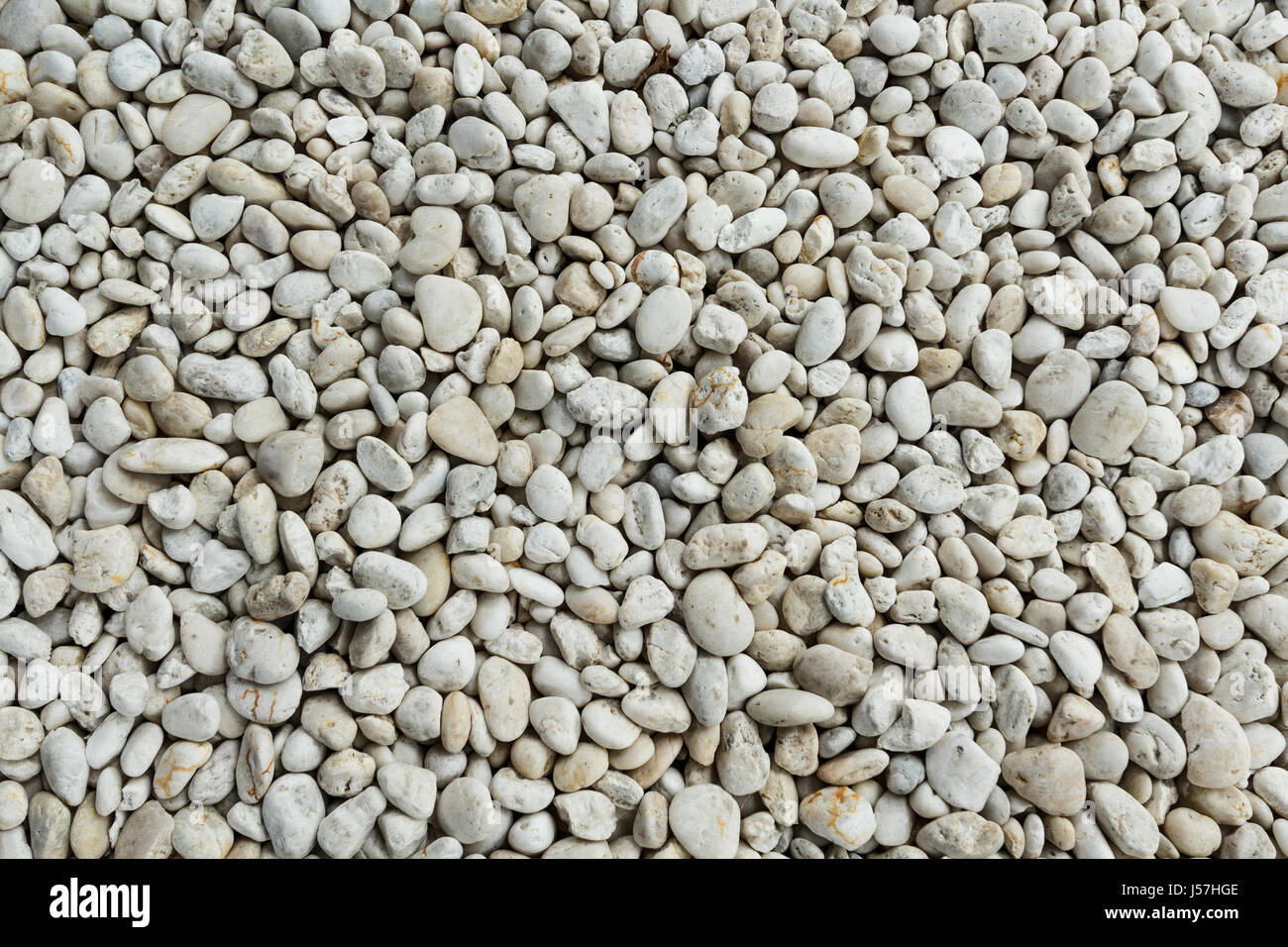 White cobblestone in the garden Stock Photo - Alamy