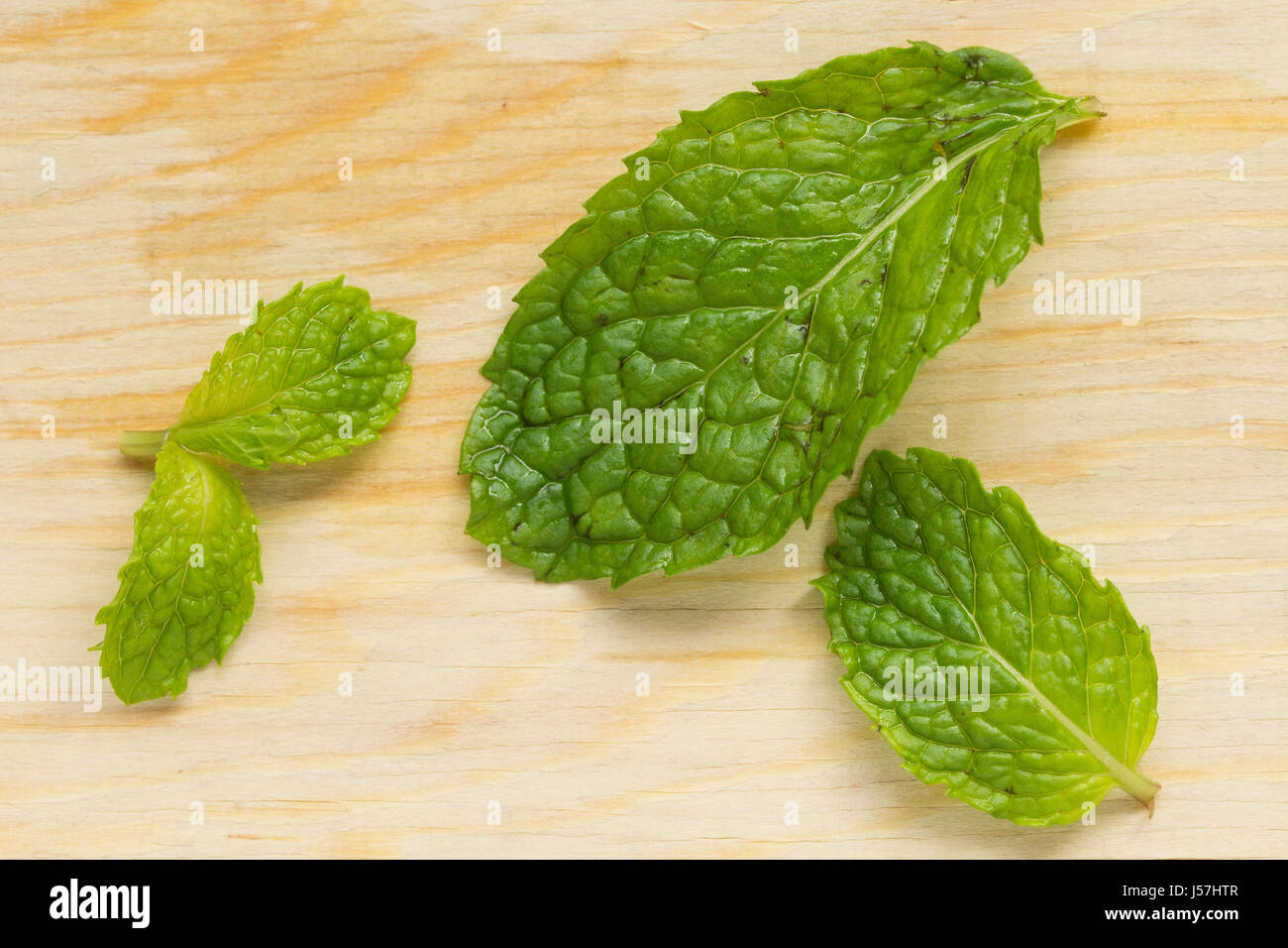Mint leaves on wood chopping block Stock Photo - Alamy