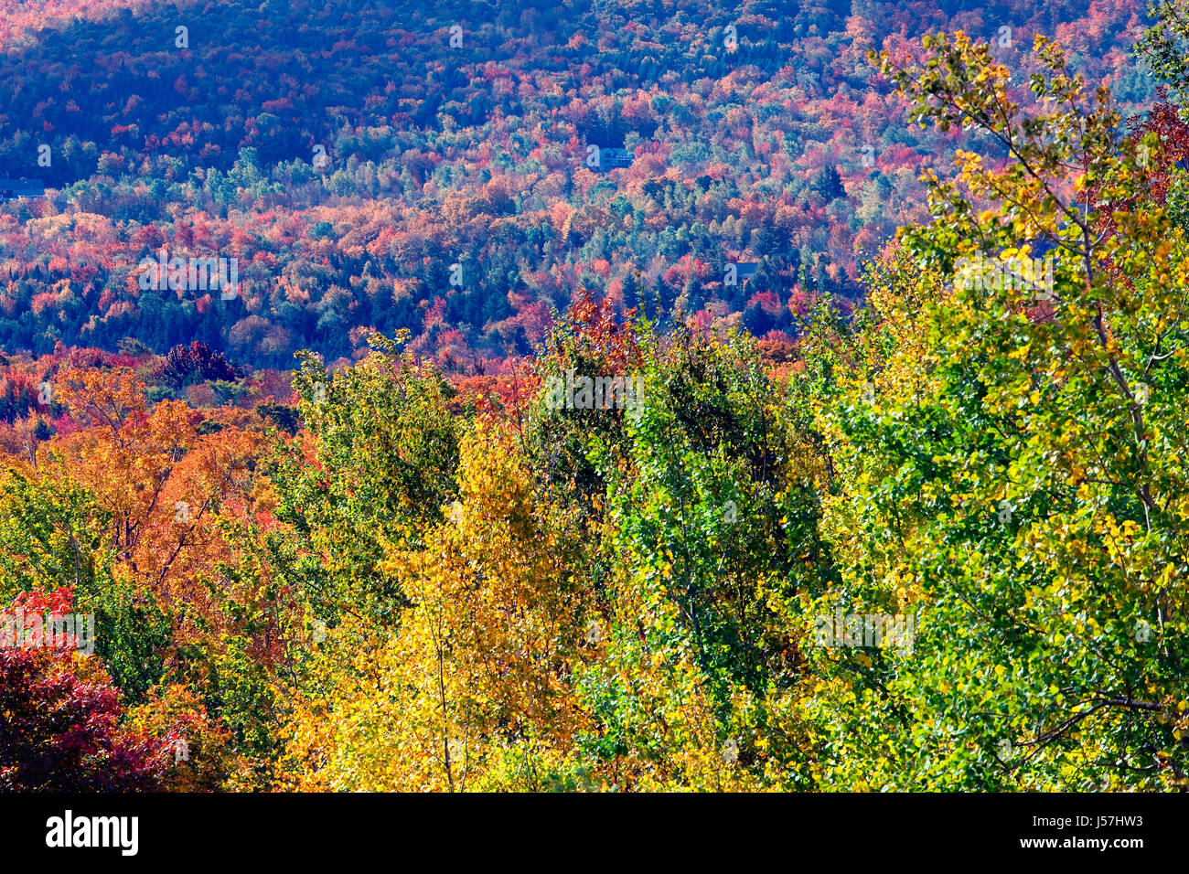 Evergreen trees in vermont hi-res stock photography and images - Alamy