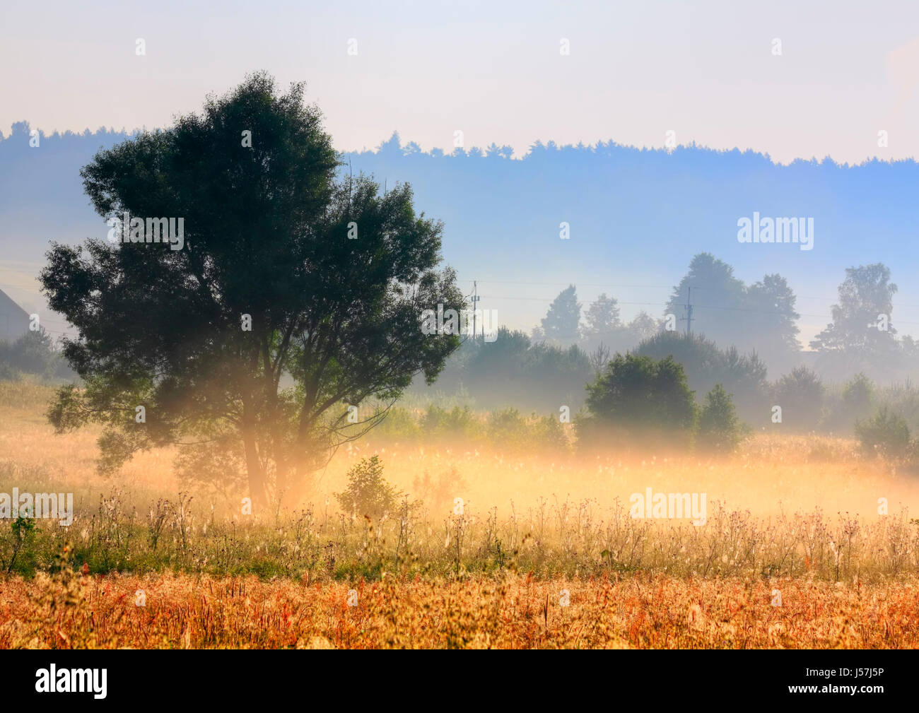 Hazy morning fog hi-res stock photography and images - Alamy