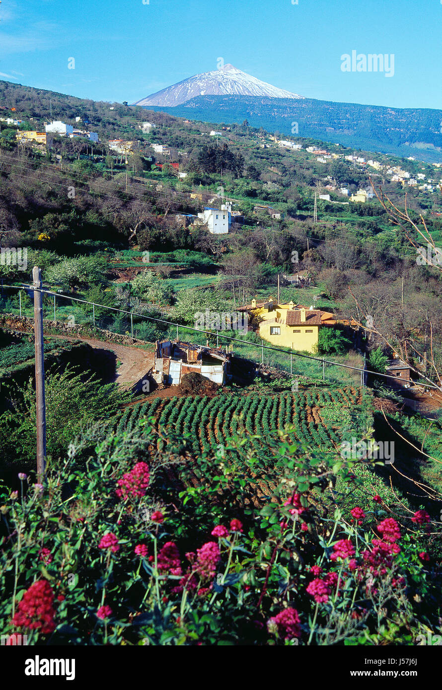 Orotava tenerife field hi-res stock photography and images - Alamy