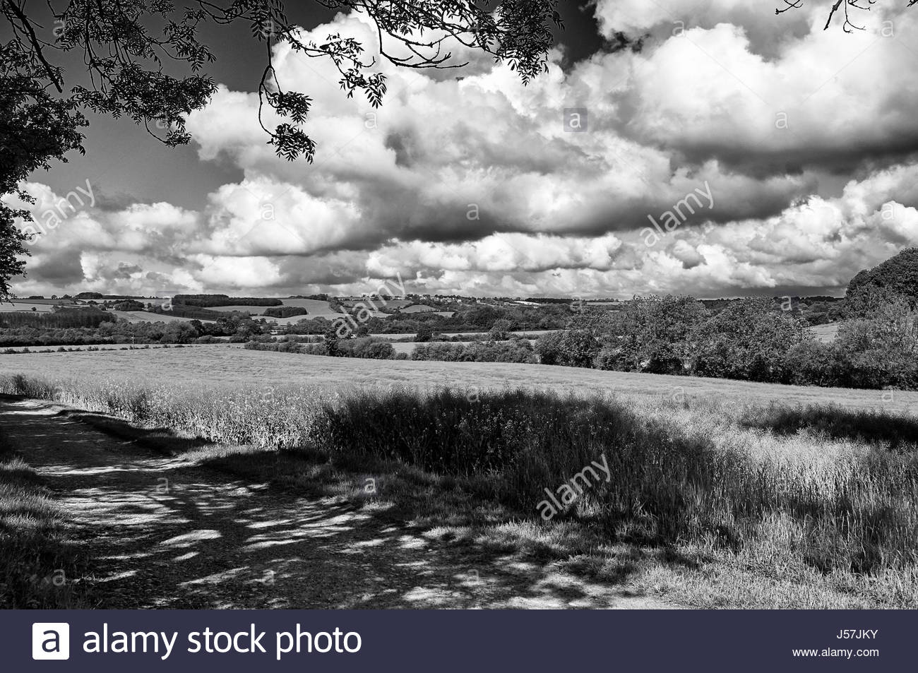 British Countryside Black and White Stock Photos & Images - Alamy