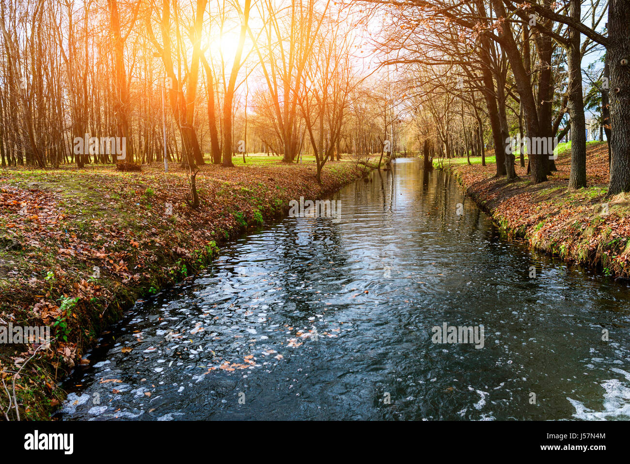 small river in autumn forest, many letters Stock Photo - Alamy