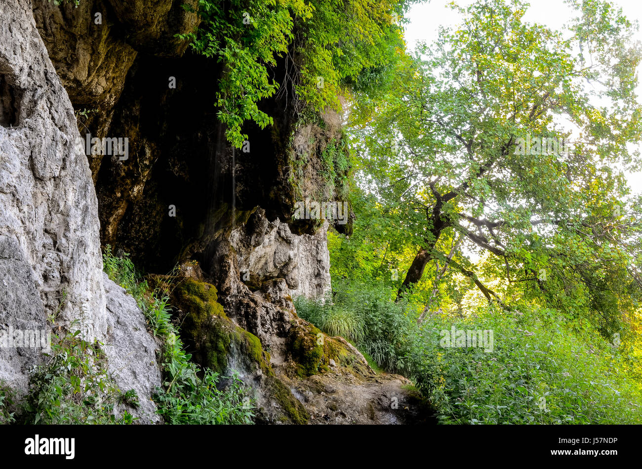 Small river in the deep forest turns into charming waterfall Stock ...
