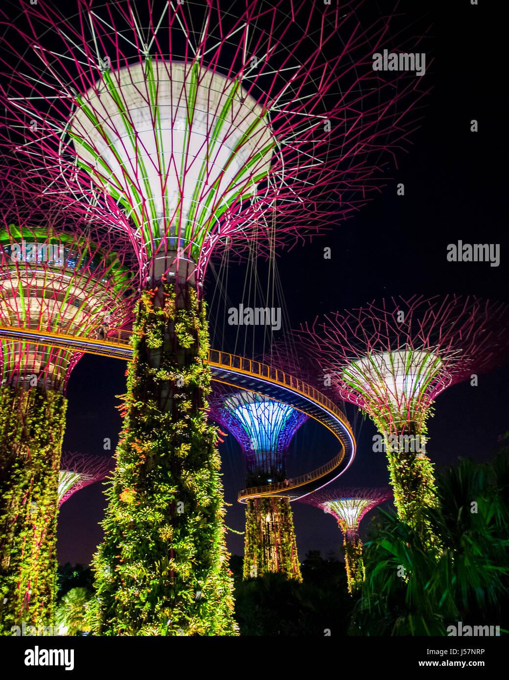 Night view illuminated supertree grove hi-res stock photography and ...