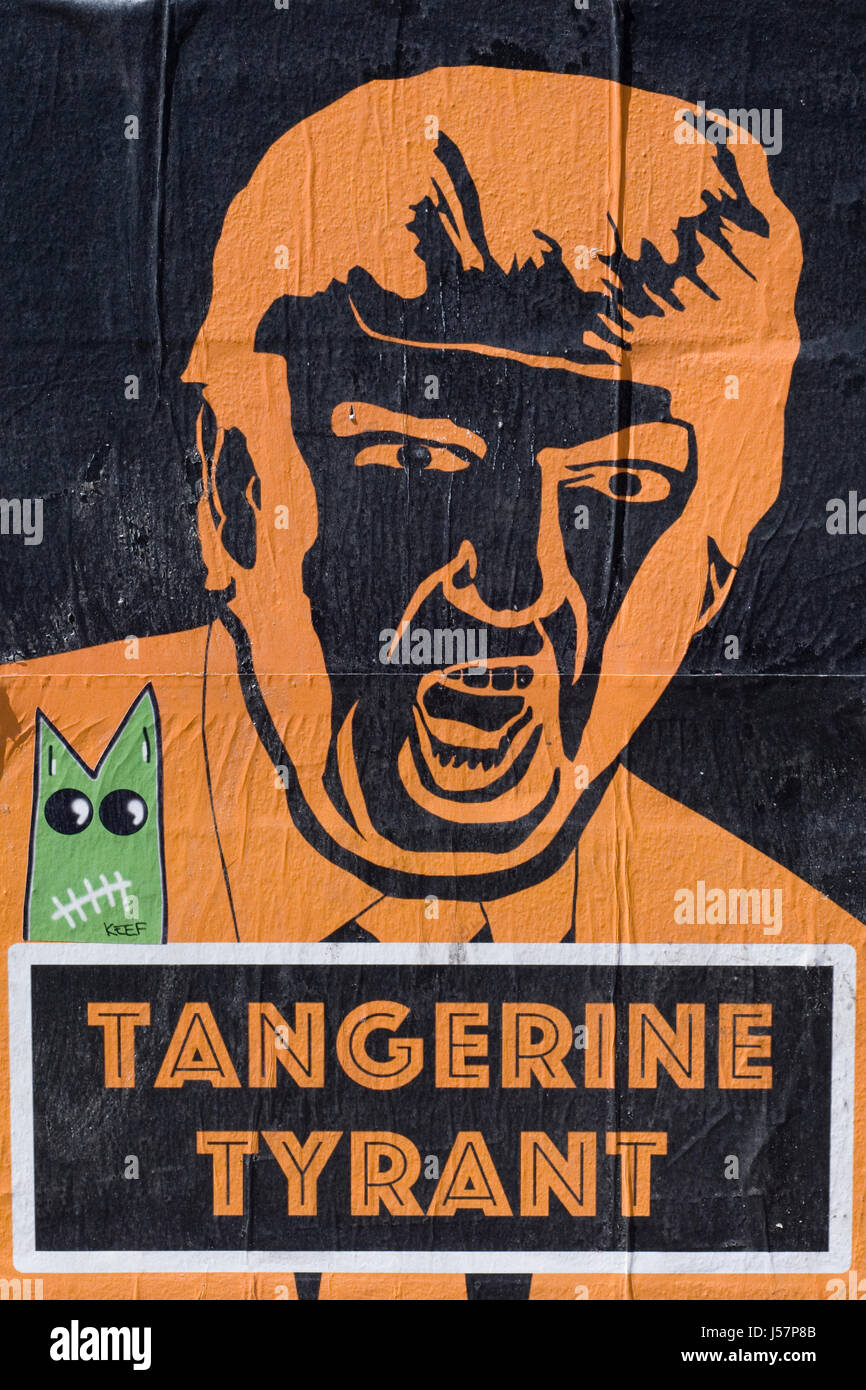 Tangerine tyrant hi-res stock photography and images - Alamy