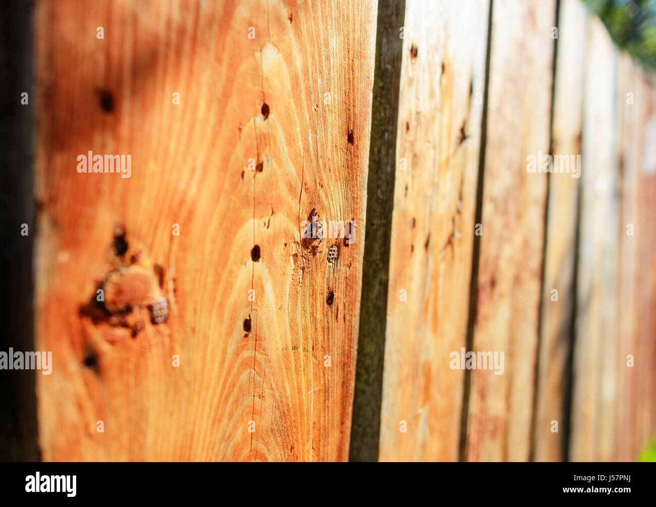 Timber defects hi-res stock photography and images - Alamy