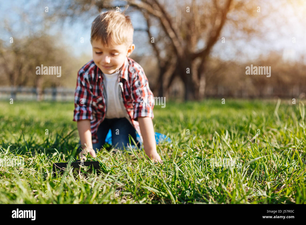 Cheerful boy crawling on hands and knees in backyard Stock Photo - Alamy
