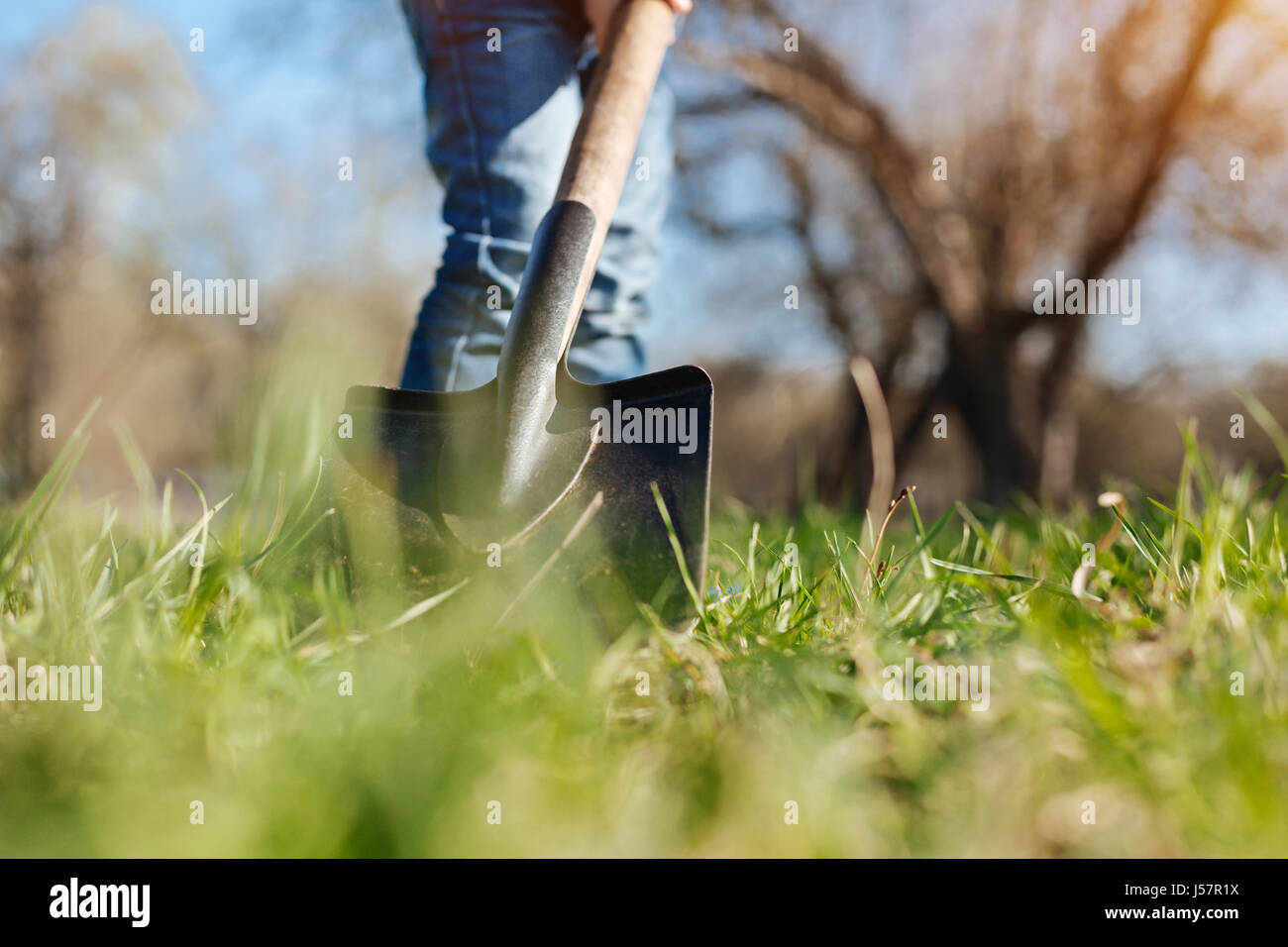 Close up of school child gardening with spade Stock Photo - Alamy