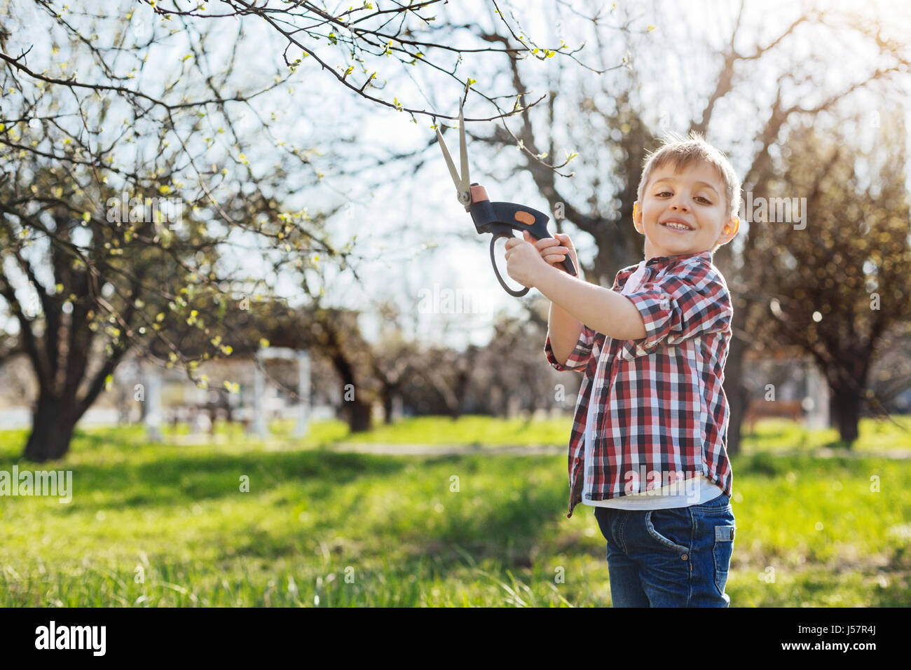 Adorable boy holding secateurs and smiling Stock Photo - Alamy