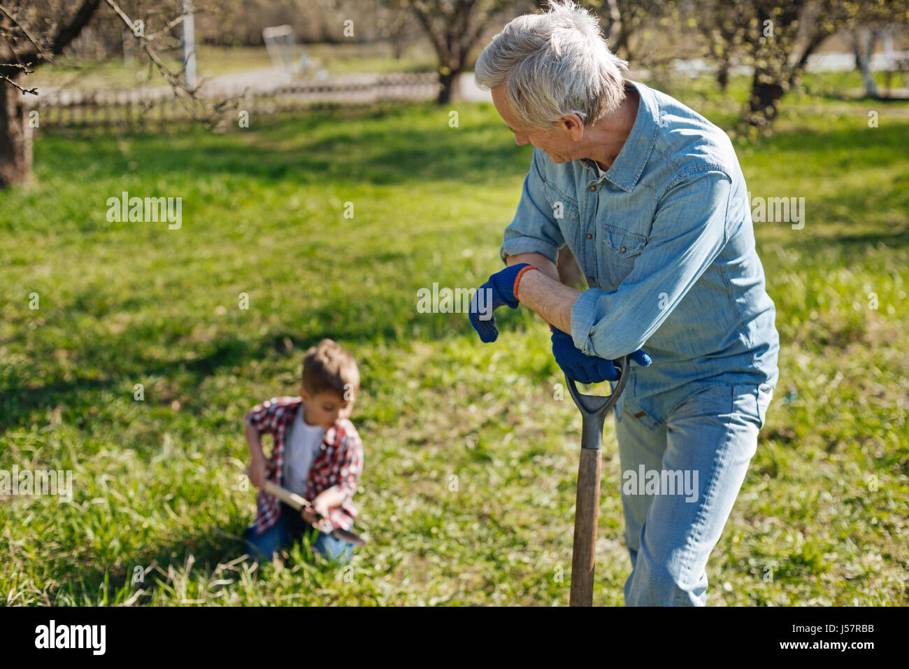 Senior man watching his grandson digging into soil Stock Photo - Alamy