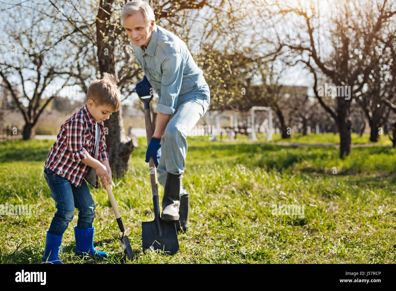 Senior gardener and his grandson digging ground together Stock Photo ...
